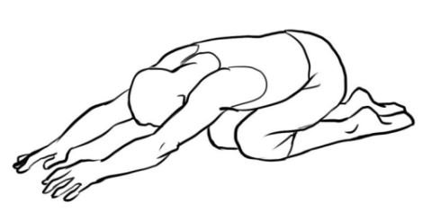 Sciatica Exercises | David Berro